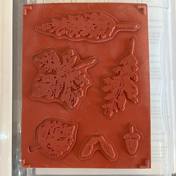 Stampin' Up! | Office | Stampin Up Gently Falling Stamp Set Set Of Two ...